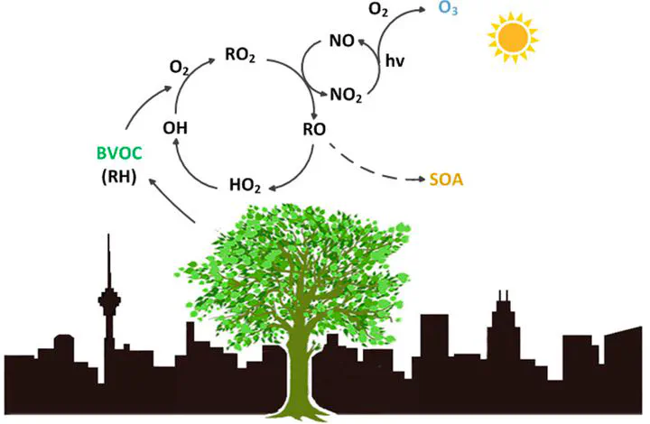 Role of Management Strategies and Environmental Factors in Determining ...
